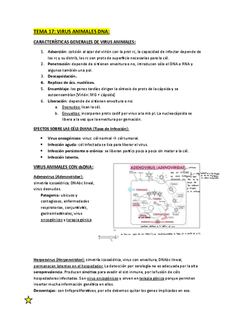 Tema-17-VIRUS-ANIMALES-DNA.pdf