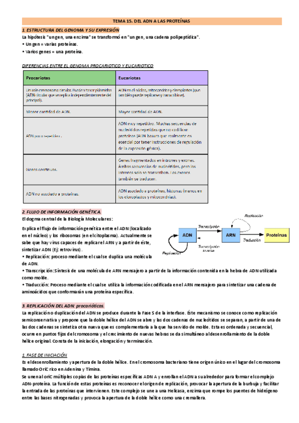 TEMA 15. DEL ADN A LAS PROTEINAS.pdf