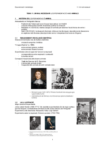 Docu-T11.pdf
