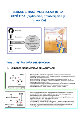 T1.-Estructura-acidos-nucleicos.pdf