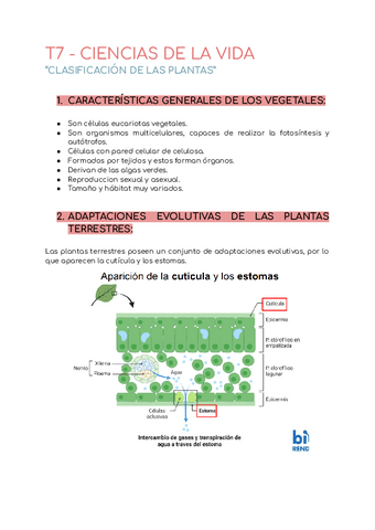 T7-CIENCIAS-DE-LA-VIDA-CLASIFICACION-DE-LAS-PLANTAS-APUNTES-RPS.pdf