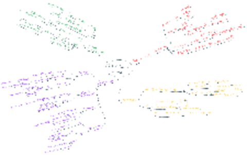 T6 Revolución Rusa. Mapa mental.pdf