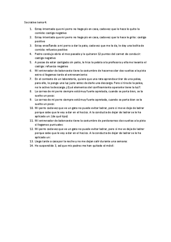 Socrative-tema-4.pdf