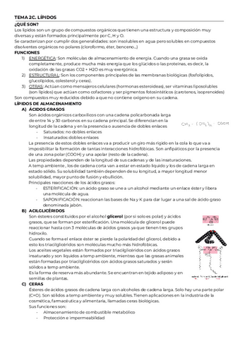 TEMA-2C.-LIPIDOS.pdf