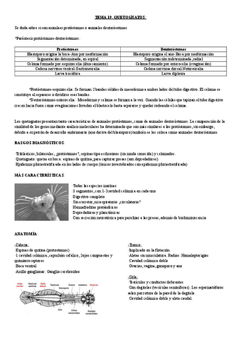 tema 19 a.-quetognatos.pdf