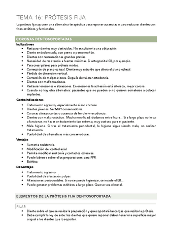 TEMA-17-ADULTOS-PROVISIONALES-Y-FERULAS.pdf
