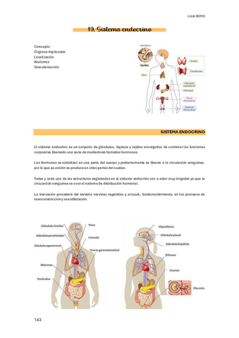 EYFCH-II-SISTEMA-ENDOCRINO-Julia-Romo.pdf