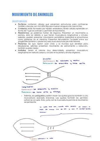 movimiento-animales.pdf