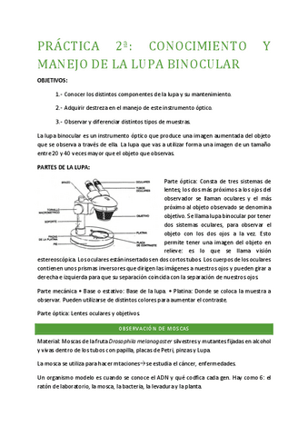 PRACTICA-2-BIO.pdf