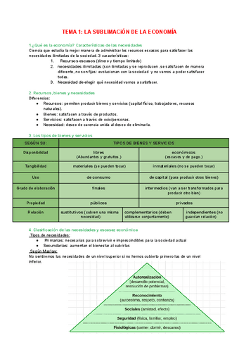 TEMA-1-LA-SUBLIMACiON-DE-LA-ECONOMIA.pdf