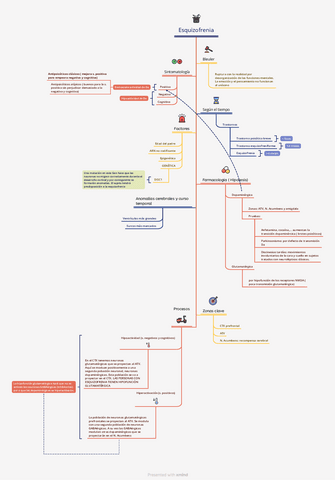 Practica-Esquizofrenia-Esquema.pdf