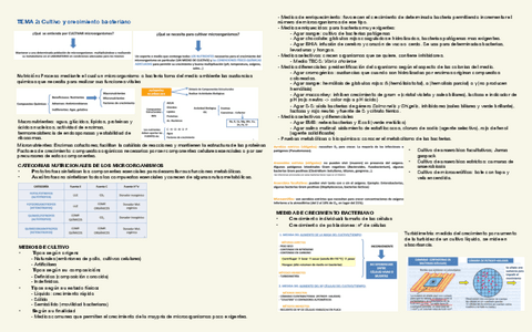 Resumen-micro-todos-los-temas-tablas-incluidas.pdf