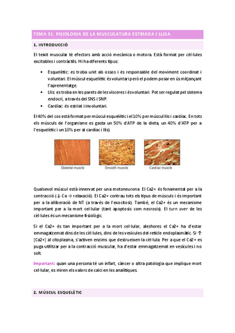 Tema-31.pdf