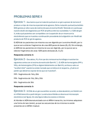 TEORICO-PRACTICA-II.pdf