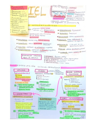 esquemas-AP-piel.pdf
