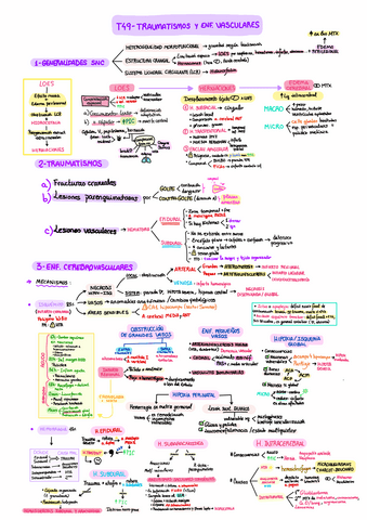 esquemas-AP-neuro.pdf