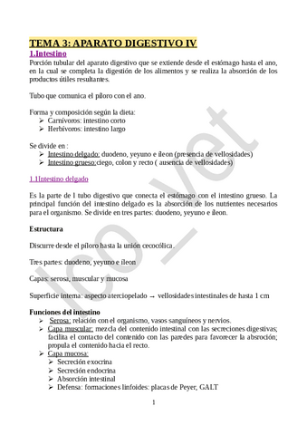 TEMA-4-DIGESTIVO-IV.pdf