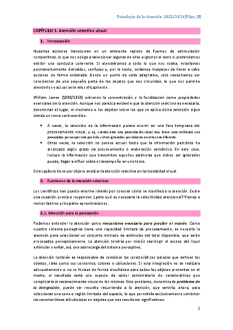CAPITULO-3.-Atencion-selectiva-visual.pdf