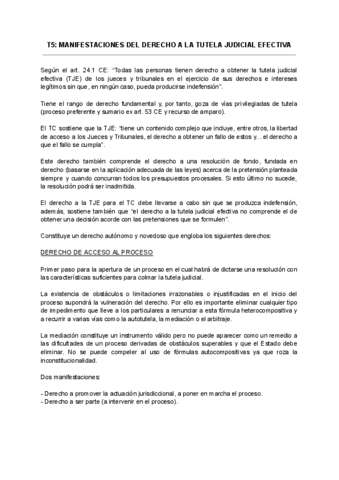 T5-MANIFESTACIONES-DEL-DERECHO-A-LA-TUTELA-JUDICIAL-EFECTIVA.pdf