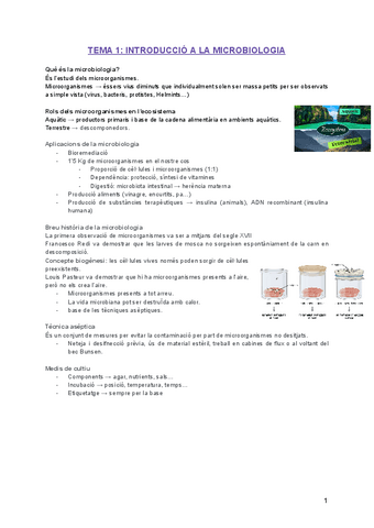 MICROBIOLOGIA-PRIMER-PARCIAL.pdf.pdf