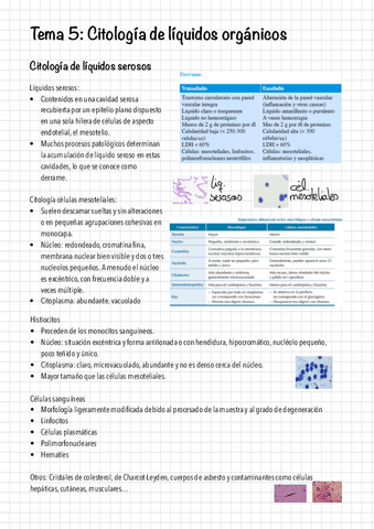 Tema 5. Citología de líquidos orgánicos - Citología general..pdf
