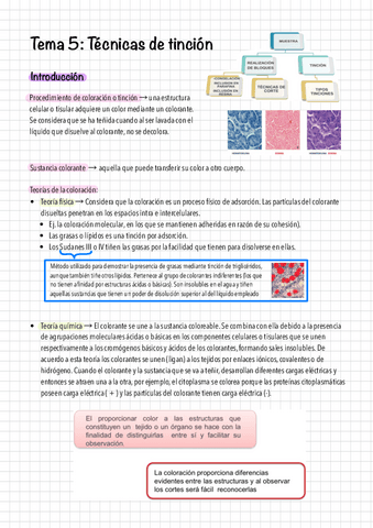 TEMA-5.-TECNICAS-DE-TINCION-COLORACIONES-HISTOLOGICAS-RUTINARIAS.pdf