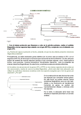 EXAMEN-BIOINFORMATICA.pdf