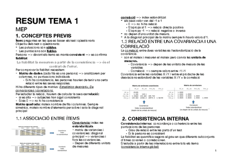 resum-tema-1-mep.pdf