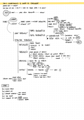 Resumen-esquema-t3.pdf