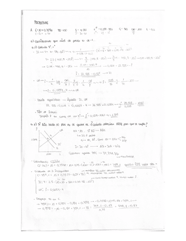 Problemas-T2-MACRO-II.pdf