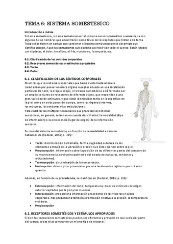 tema-6-somestesia.pdf