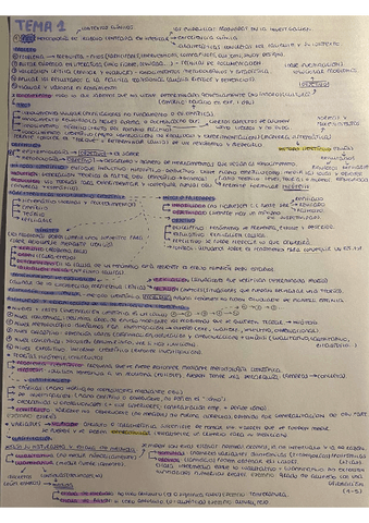 resumen-mediti-tema-1-examen-parcial.pdf