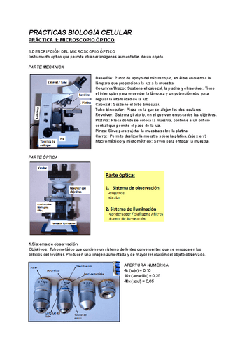 PRACTICAS-BIOLOGIA-CELULAR.pdf