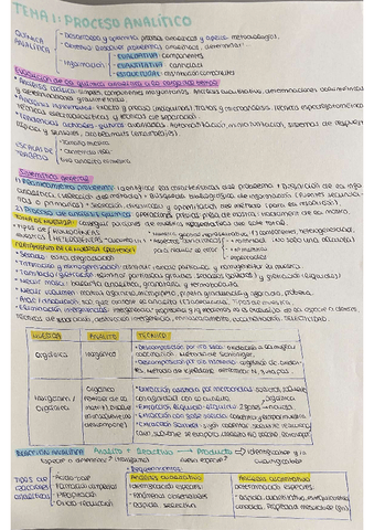 tema-1-esquema-castellano.pdf