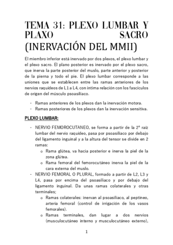 TEMA-31.pdf