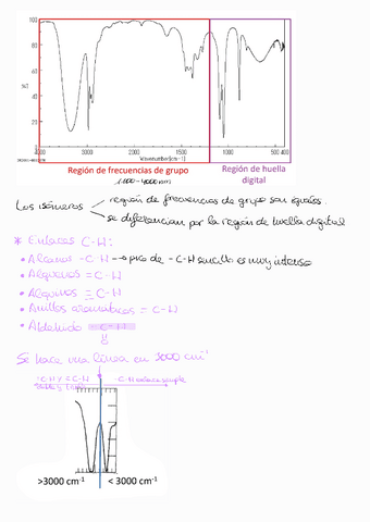Espectro-IR.pdf