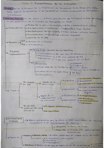 tema-5-esquema.pdf