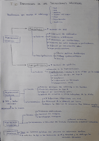 tema-10-esquema.pdf