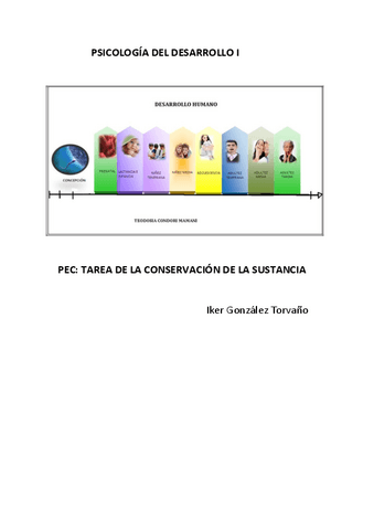 PEC-Desarrollo-I.pdf
