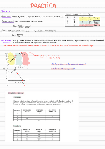 PRACTICA-TEMA-1-Y-2.pdf