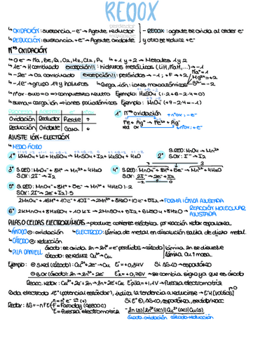 Redox.pdf