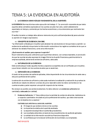 TEMA-5-AUDIT-CONT.pdf
