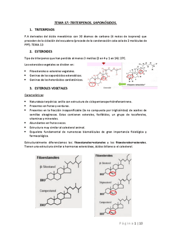 T17-triterpenos-y-saponosidos.pdf