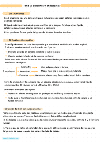 Gestion-de-muestras-T9.pdf