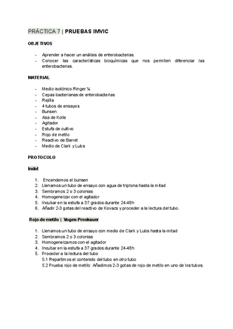 PRACTICA-7-PRUEBAS-IMVIC.PDF