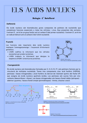 Poster-acids-nucleics.pdf