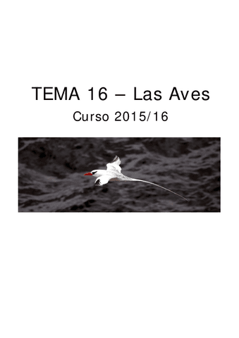 Teoria-Tema-16-Las-Aves.pdf