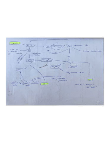 Esquema. Ejercicios inorgánica. Semana 10.pdf