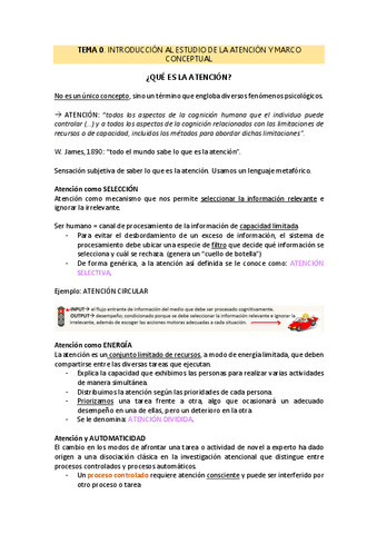 APUNTES-Psic.-ATENCION.pdf