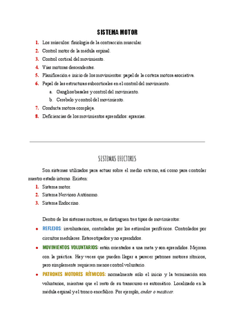 Sistema Motor (completo).pdf